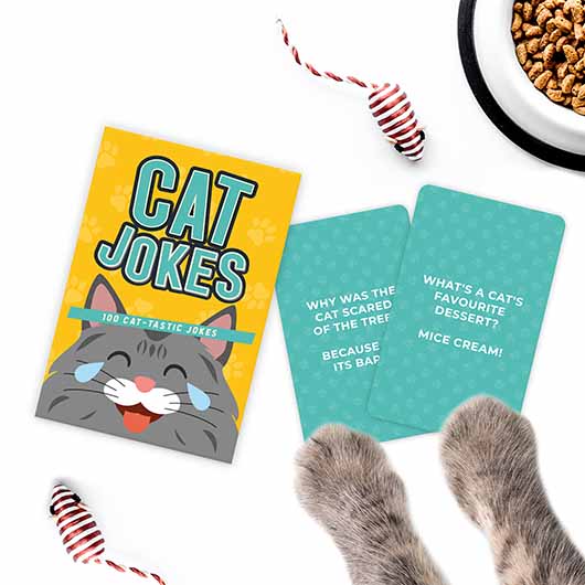 Cat Jokes – Broadway in Stanley